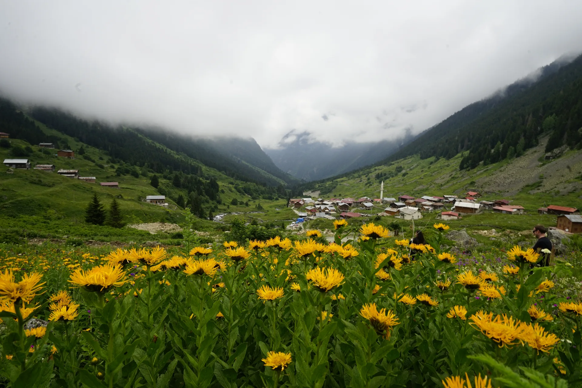Firtina Valley and River Destination | Farout Turkey